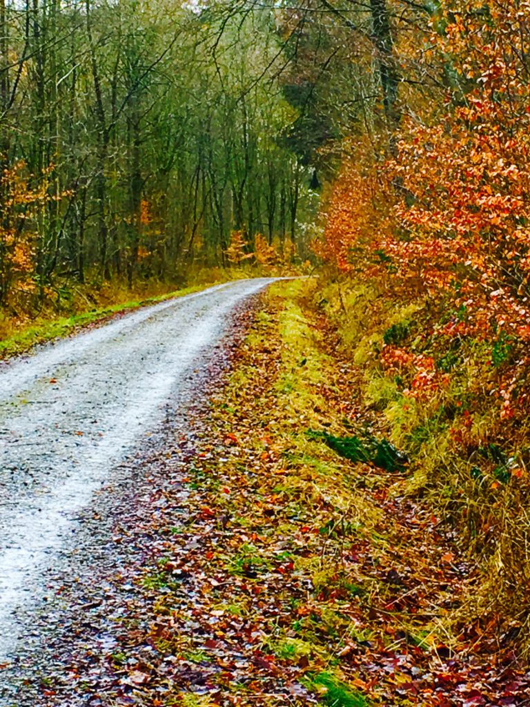 Wandern mit Hund im Frankenland - SITZPLATZBRAV